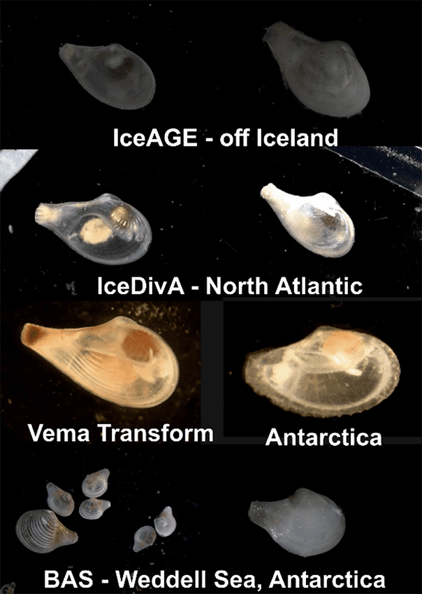 25 years of research expeditions...
