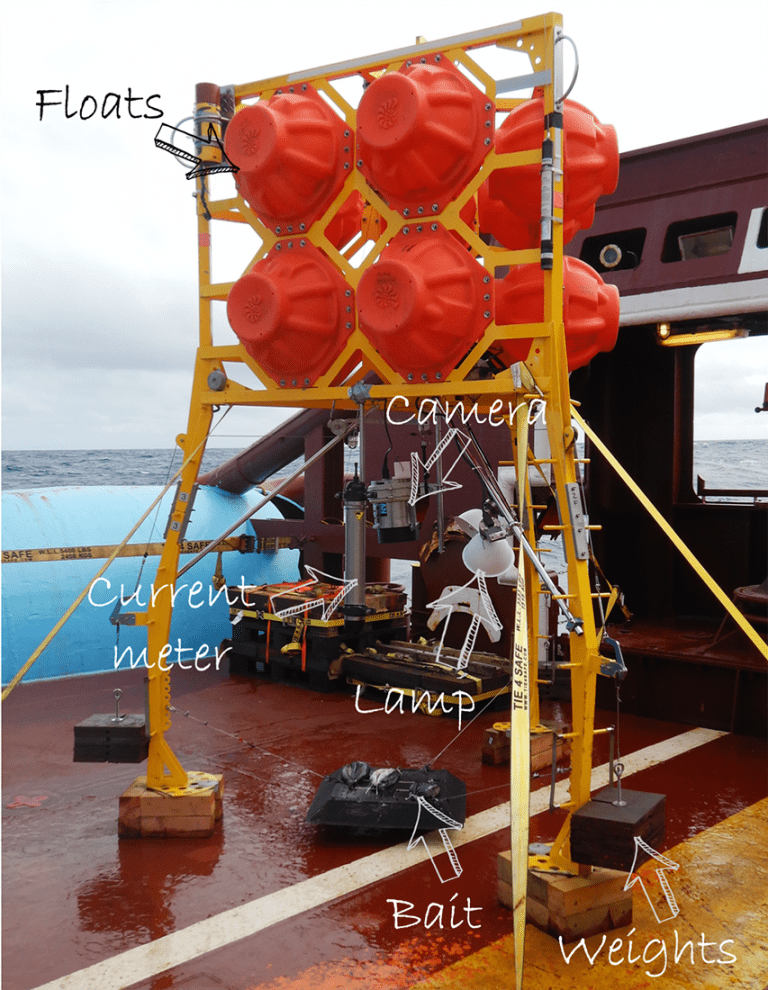 Benthic landers - Ocean Health Research - iAtlantic