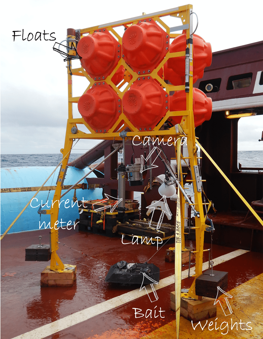 Benthic landers - Ocean Health Research - iAtlantic